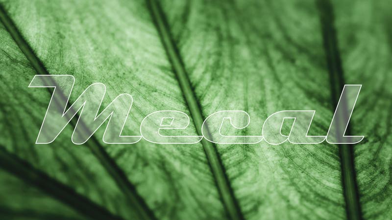 Carpenteria Metallica - Mecal S.r.l. Piacenza